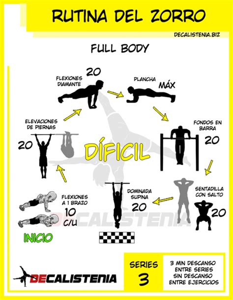 【 Mejores Rutinas Full Body 】 Gym And Calistenia En Casa ᐊ Ab Roller