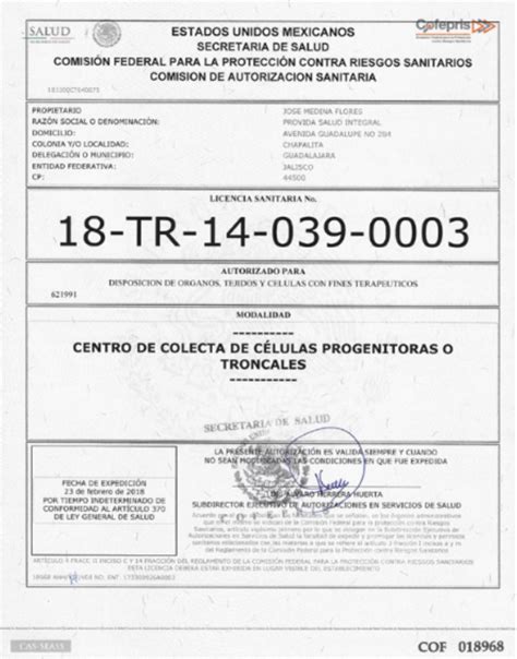 Certified Stem Cells At Dreambody Clinic The Highest Quality Stem Cells