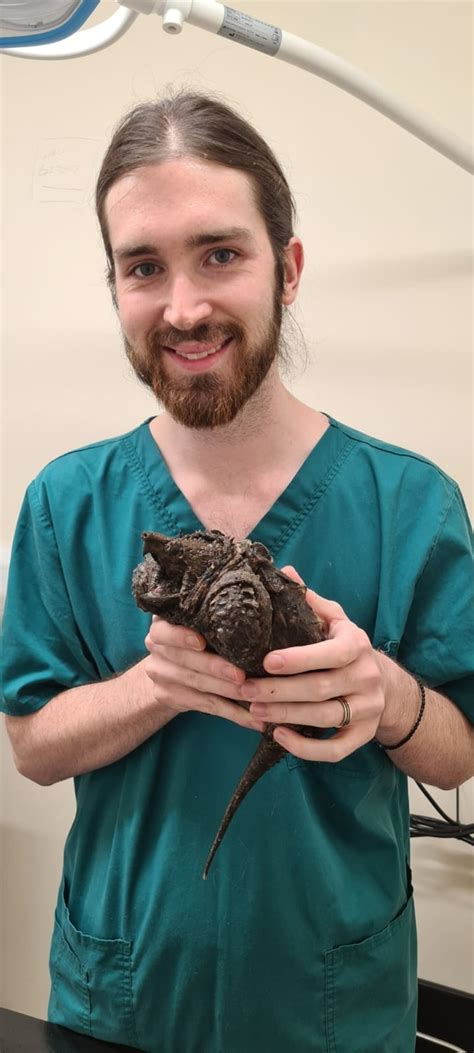 Dinosaur Like Snapping Alligator Turtle Mysteriously Discovered In