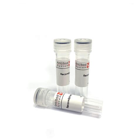 Anti Ha Tag Ypydvpdya Antibody 12ca5（单克隆抗体）价格详情介绍 960化工网 960化工网