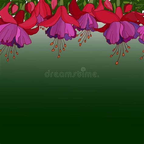 484 Fuchsia Vector Illustration For Different Design Stock Vector