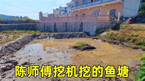 东家请挖鱼塘陈师傅用草做堤坝挖完之后非常完美陈师傅开挖机 YouTube