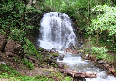 十和田八幡平の里秋田県旅館組合鹿角支部 on Twitter 9月4日14時30分現在 鹿角十和田八幡平地域は曇りです 画像は