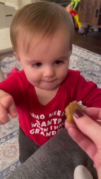 Gingerbread Cookies Youtube