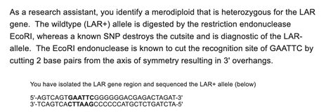 Solved As A Research Assistant You Identify A Merodipl