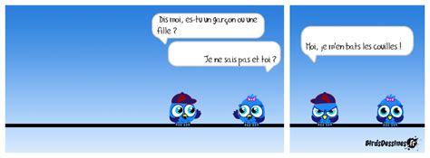 Le Sexe Des Anges