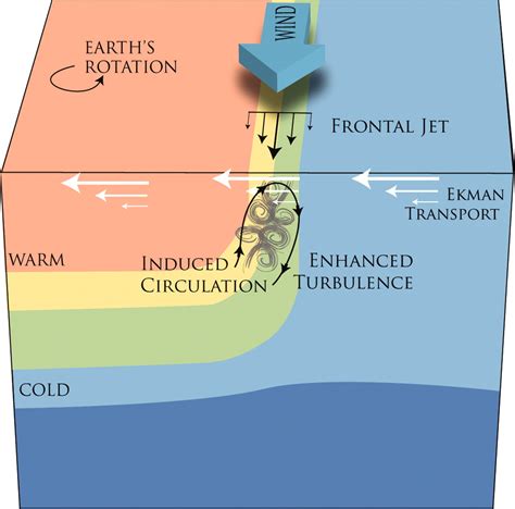 Enhanced Turbulence And Energy Dissipation At Ocean Fronts Science