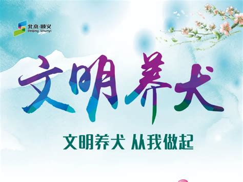 首页 顺义新闻网 北京市顺义区融媒体中心