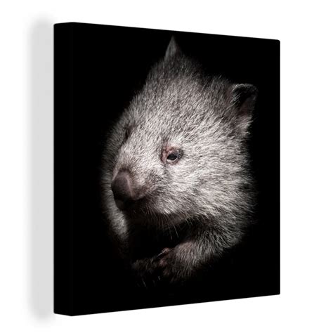 Onemillioncanvasses® Leinwandbild Ein Schwarz Weiß Porträt Eines