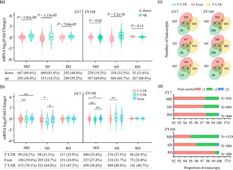 Figure 3 From N6methyladenosine RNA Modification Regulates Cotton