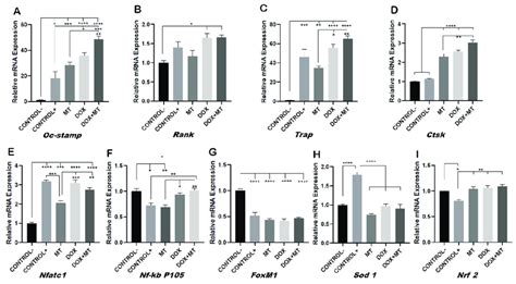 Effect Of Mitotempo On Doxorubicin Induced Osteoclast Differentiation