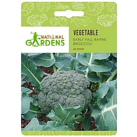 Buy National Gardens Exotic Early Fall Rapini Broccoli Seeds Online At