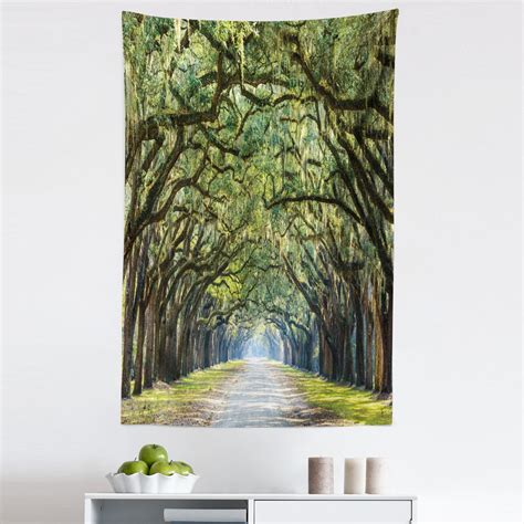 Forest Tapestry Tranquil Pathway Strong Spring Trees Serene Nature