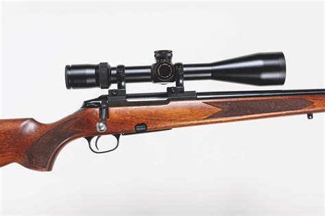 Tikka Rifles Taking A Look At The M And M Highly Respected