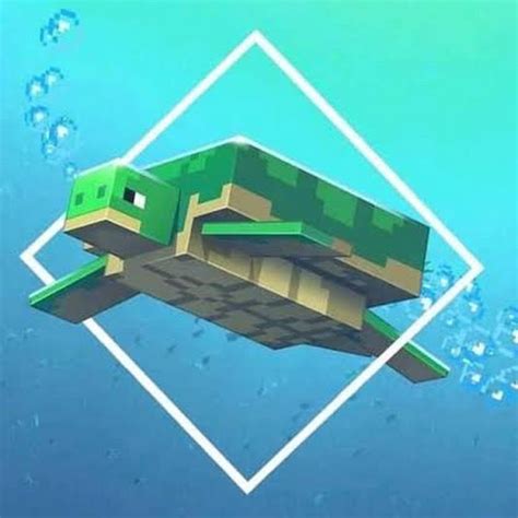 Lshell Youtube