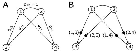 Contribution Nodes An Example Of An Admixture Graph A And Its