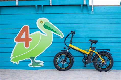 Understanding the Power and Performance of 250W Electric Bikes | Heybike