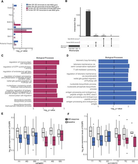 Sex Differences In The Genetic Regulation Of The Blood Transcriptome