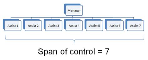 Span of Control (GCSE) | tutor2u Business