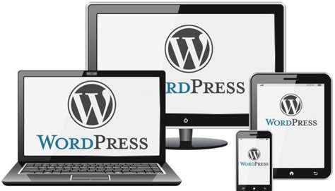 best wordpress website design services in noida ads infoworld