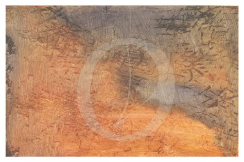 Outback Beyond By Wiseman