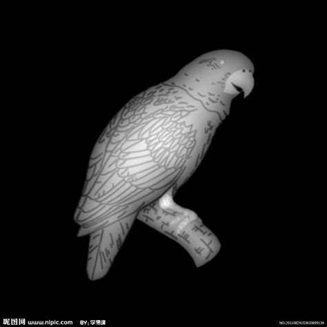 Grayscale Image 3d Model Scale Model Models Template Pattern Mockup