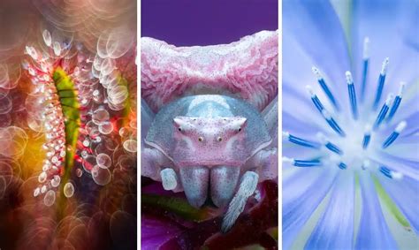 Vibrant Color Palette Combos Take Colors From The World To Inspire