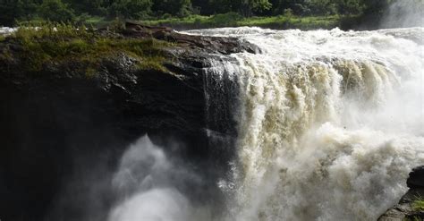 강 강력한 거대한 거품 경치 계단식 고요한 광야 그림 같은 급류 급한 물 기류 길들이지 않는 나무 녹지 무성한 물 물줄기 민물 박무 산림