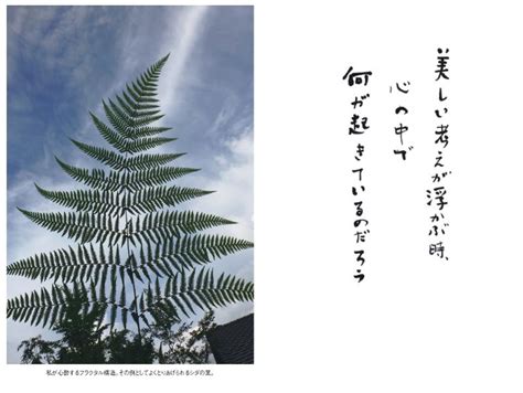 「静かに おだやかに 忙しく―」銀色夏生の、今日のおまもり｜おまもり｜銀色夏生 幻冬舎plus