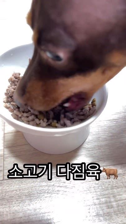 소고기 다짐육🐂 Youtube