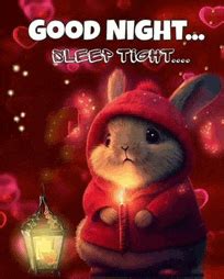 Good Night Funny S