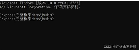 关于windows系统下redis的闪退问题。windows启动redis闪退 Csdn博客
