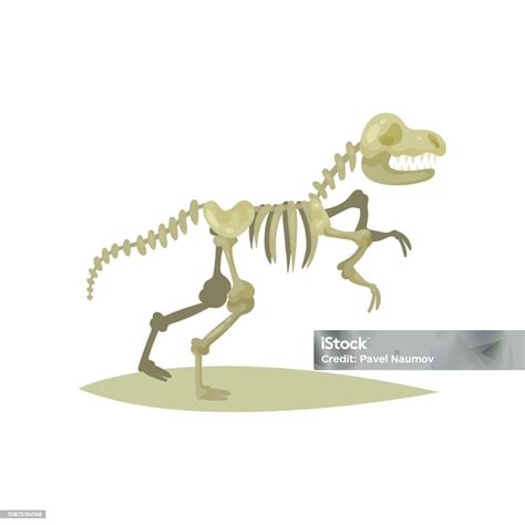 공룡 골격의 평면 벡터 아이콘입니다 티라 렉스입니다 선사 시대 파충류의 뼈입니다 화석 전시입니다 고 대 박물관 개체 0명에 대한 스톡 벡터 아트 및 기타 이미지 Istock