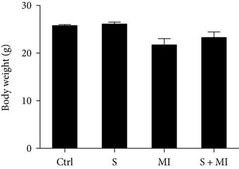 Effect Of Mi On Infarct Size Is Body Weight Bw And Ejection