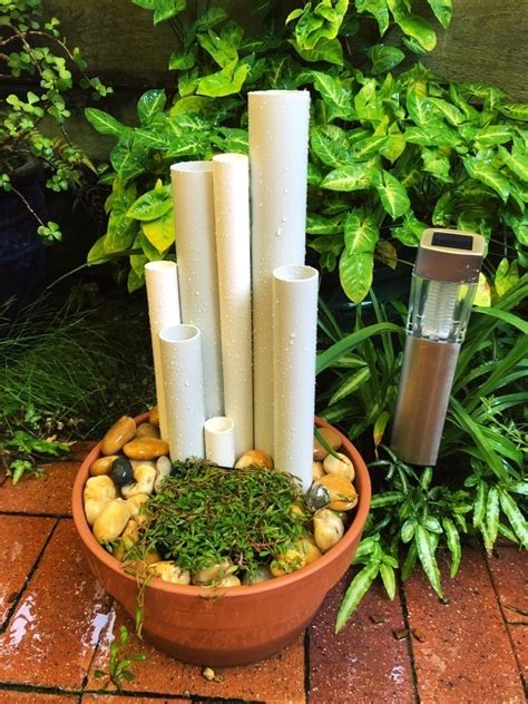 How To Build A Frog Hotel Wildlife Preservation Society Of Queensland