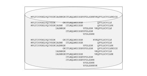 Efficient Indexing Of Peptides For Database Search Using Tide Journal Of Proteome Research