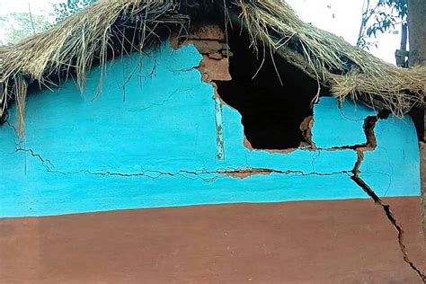 Wildlife Oppression Of Wild Elephants Continues At Barjora Anandabazar