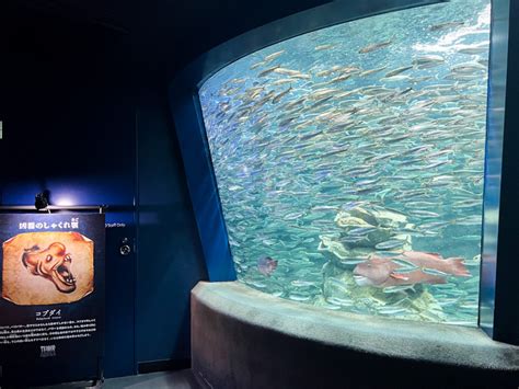可愛らしい生きものに潜む、本当の怖さ ― サンシャイン水族館「terror Night Aquarium」 ニュース アイエム