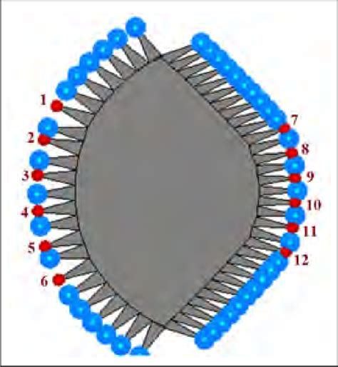 Figure 311 From Design Of A Wideband Rotman Lens With Dummy Ports For