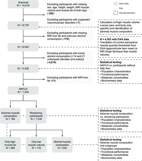 Schematic Overview Of Study Data Calculations And Analyses DXA Download Scientific Diagram