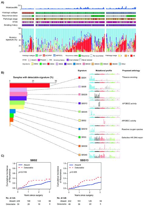 Analysis Of Somatic Mutational Signatures A Bar Plots Of Detectable