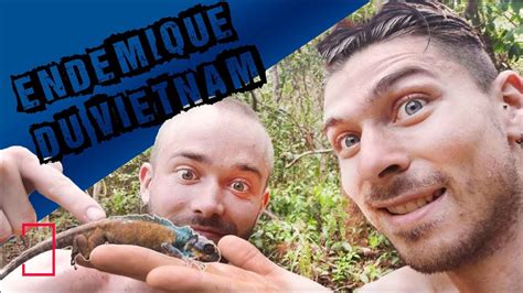 Sur Les Traces Du Calotes Bachae Vietnam Youtube