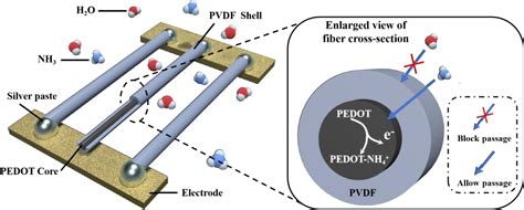 Figure 1 From Core Shell Pedot Pvdf Nanofiber Based Ammonia Gas Sensor
