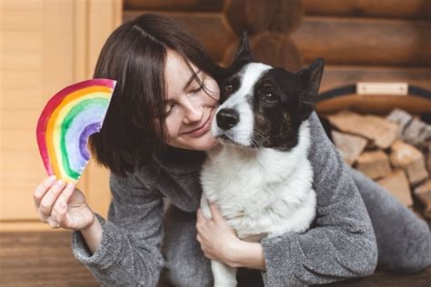 Retained Testicles Cryptorchidism In Cats Vet Explained Causes