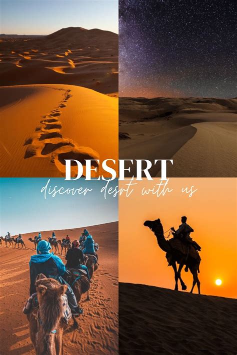 Go On A Trip In The Desert Artofit