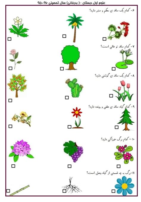 نمونه سوال علوم اول ابتدایی شماره 7 دکتر سمیه رحمت