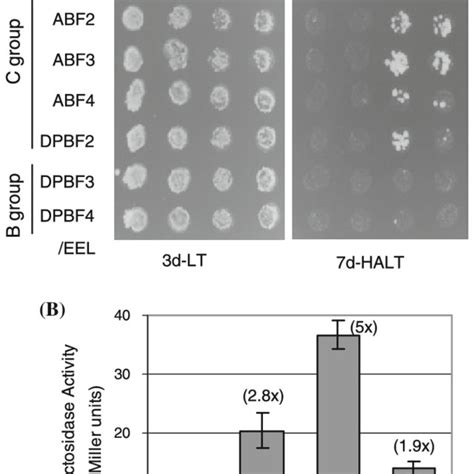 Yeast Two Hybrid Interactions Between Protein Kinases And Pp2cs A