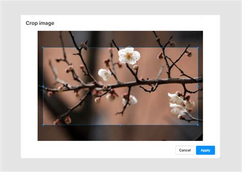 settings simple editor we customer s canvas dev