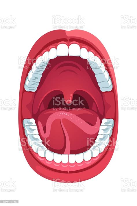 구내염 건강healty