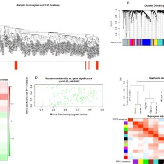 Wgcna Data For Tcga Data A Clustering Dendrogram Of Samples Based On